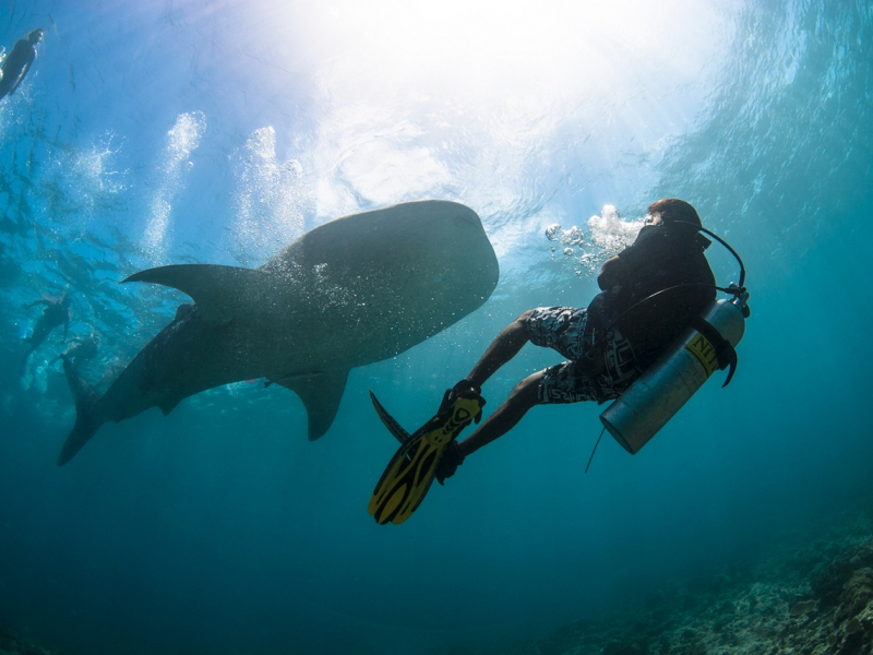 Diving – Villa Park Maldives